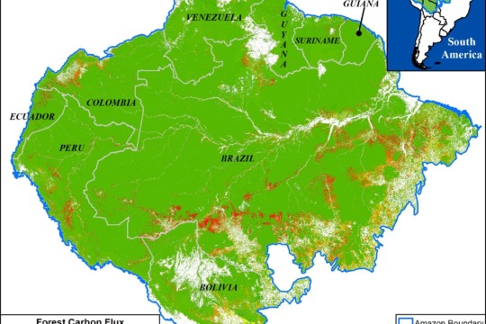 Amazon Rainforest Physical Map