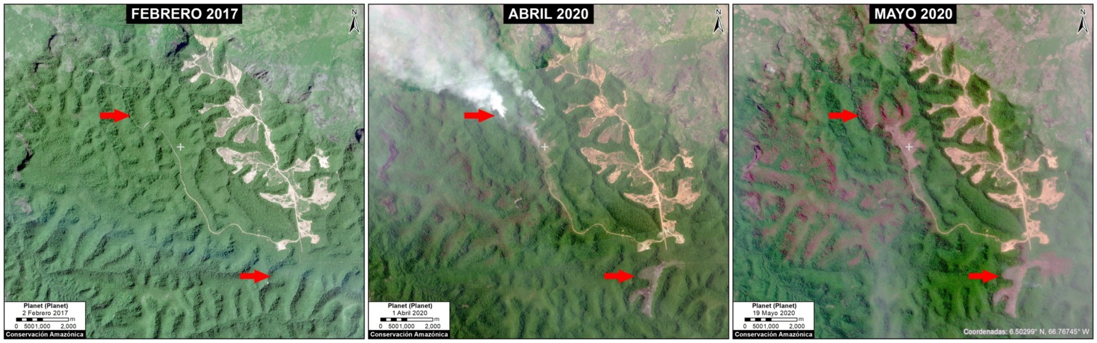 ¿Cómo está la deforestación en la Amazonía venezolana? | Servindi ...