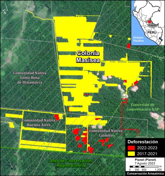 Caimito resiste al avance depredador de menonitas | Servindi ...