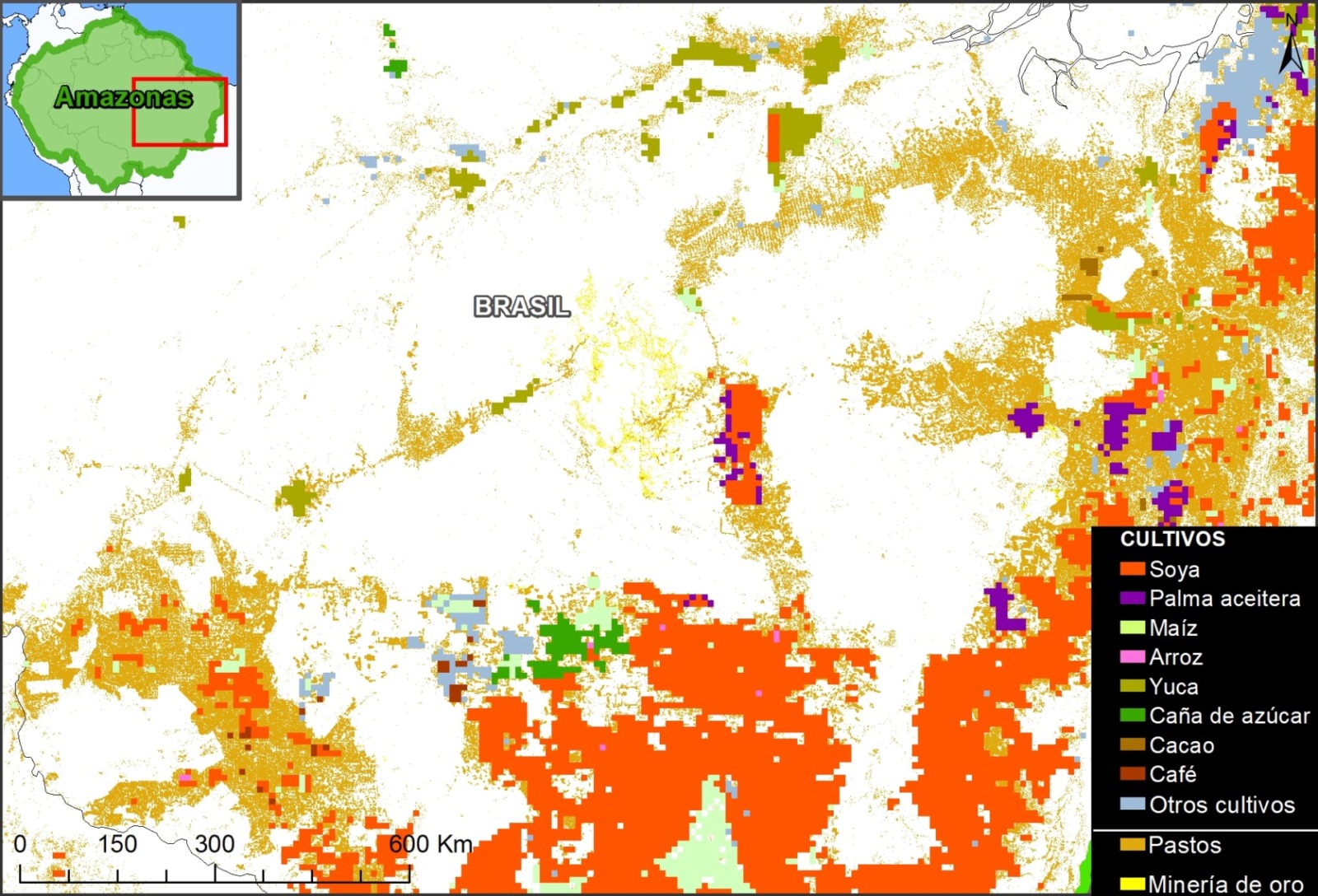 Amazonía: revelan patrones de cultivos y pastos | Servindi - Servicios ...